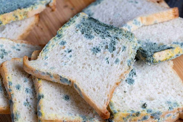 Makan Roti Berjamur, Apakah Boleh? Ini Penjelasannya! - Tentang Anak